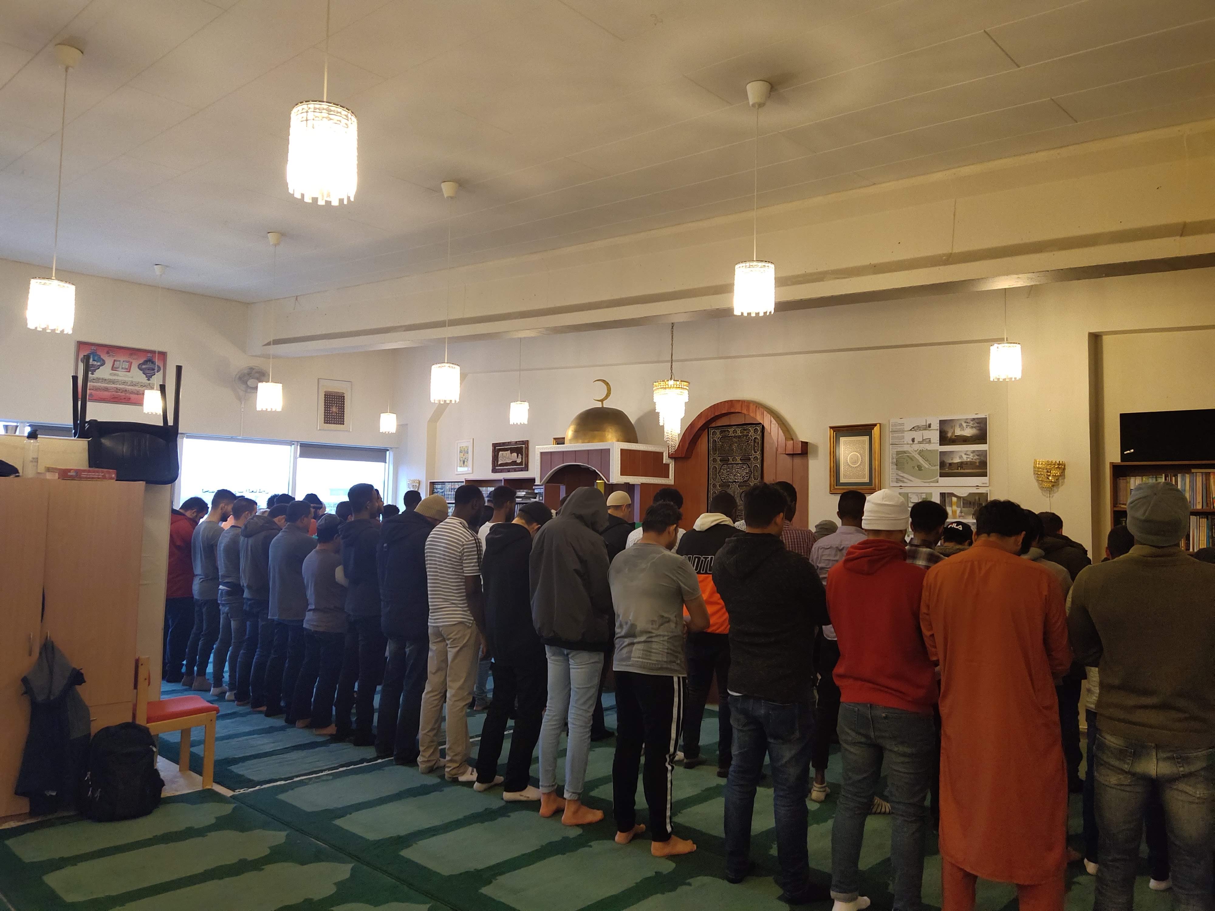 Moskan í Reykjavík - آيسلندا