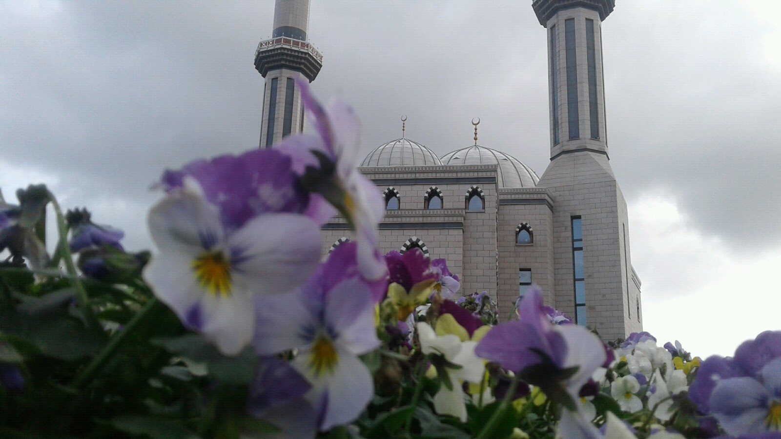 Essalam Moskee Rotterdam - هولندا